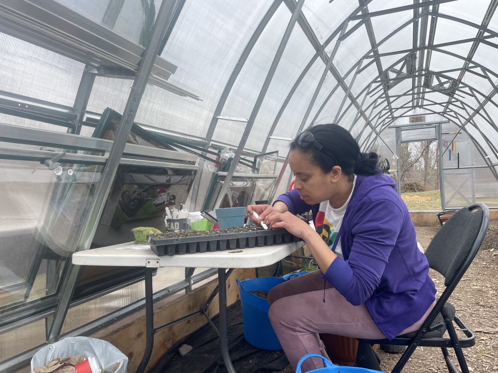 Programs - Valley Community Learning Association